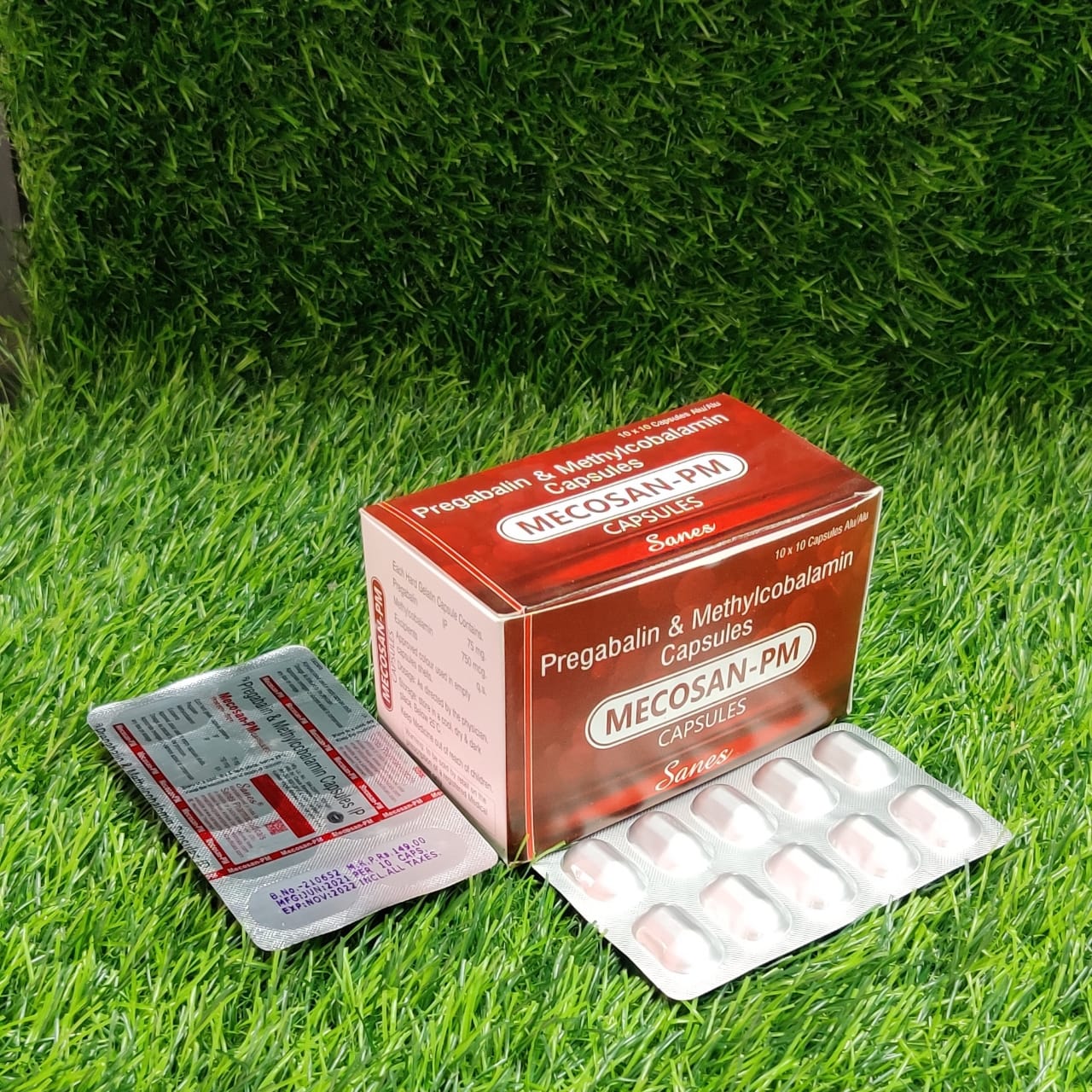 MECOSAN-PM - Sanes Pharmaceuticals