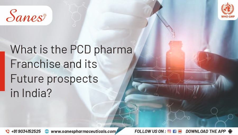 What is the PCD Pharma Franchise and its Future Prospects in India ...